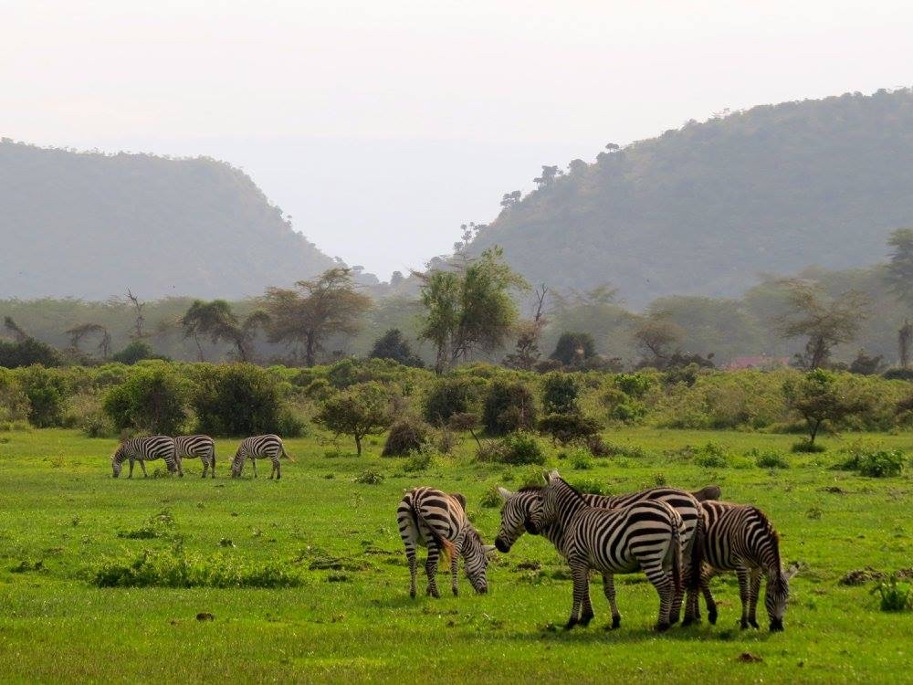 The Ecoscapes Portfolio, Kenya – Ecoscapes Sanctuary – Ecoscapes ...